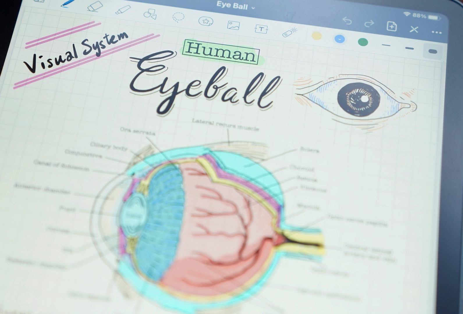 5 Effective Ways to use Tablets in Schools - Room Twelve